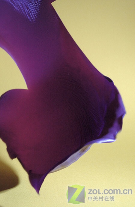 经典瞬间 你绝对拍不出的气球爆炸画面_业界-中关村在线